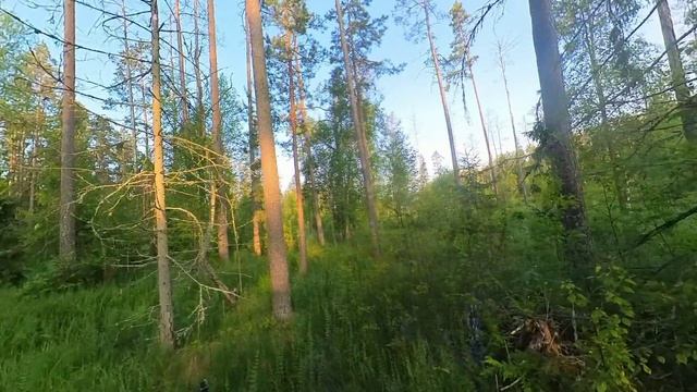 после циклона