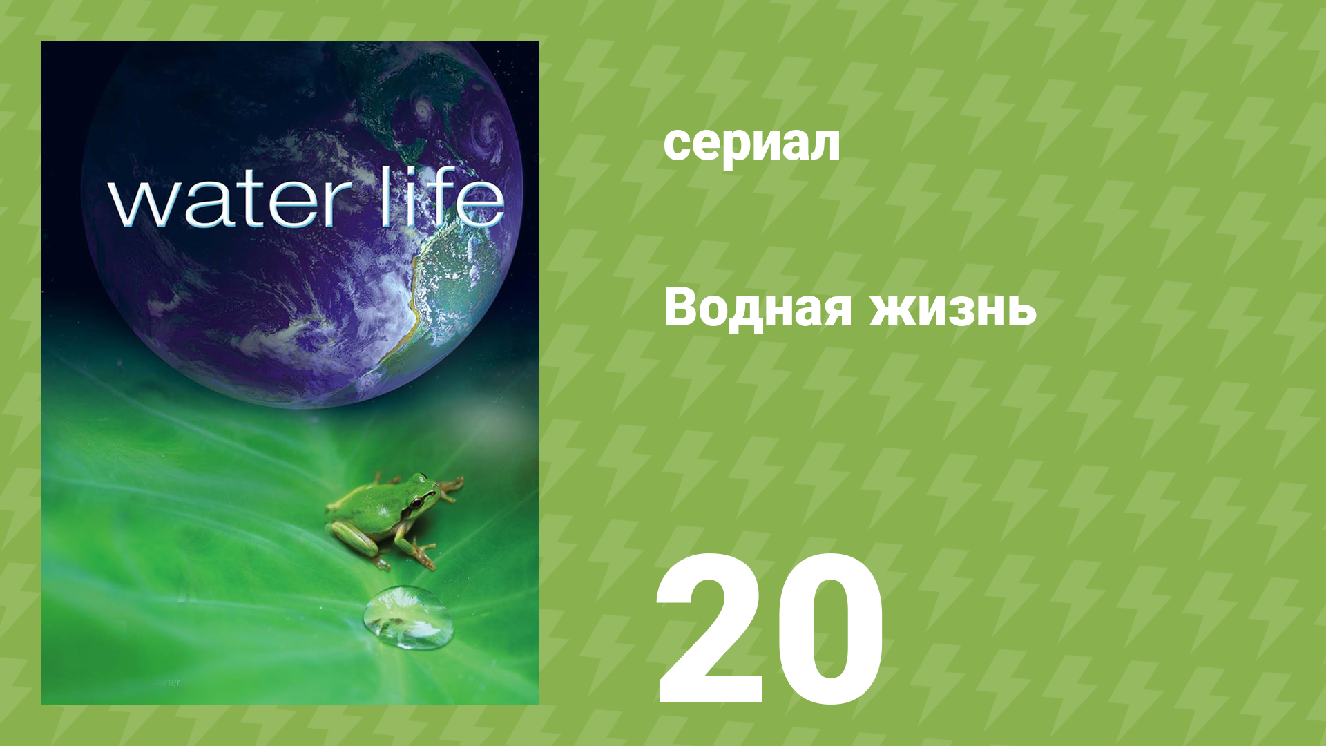 Водная жизнь 20 серия «У побережья» (документальный сериал, 2009)
