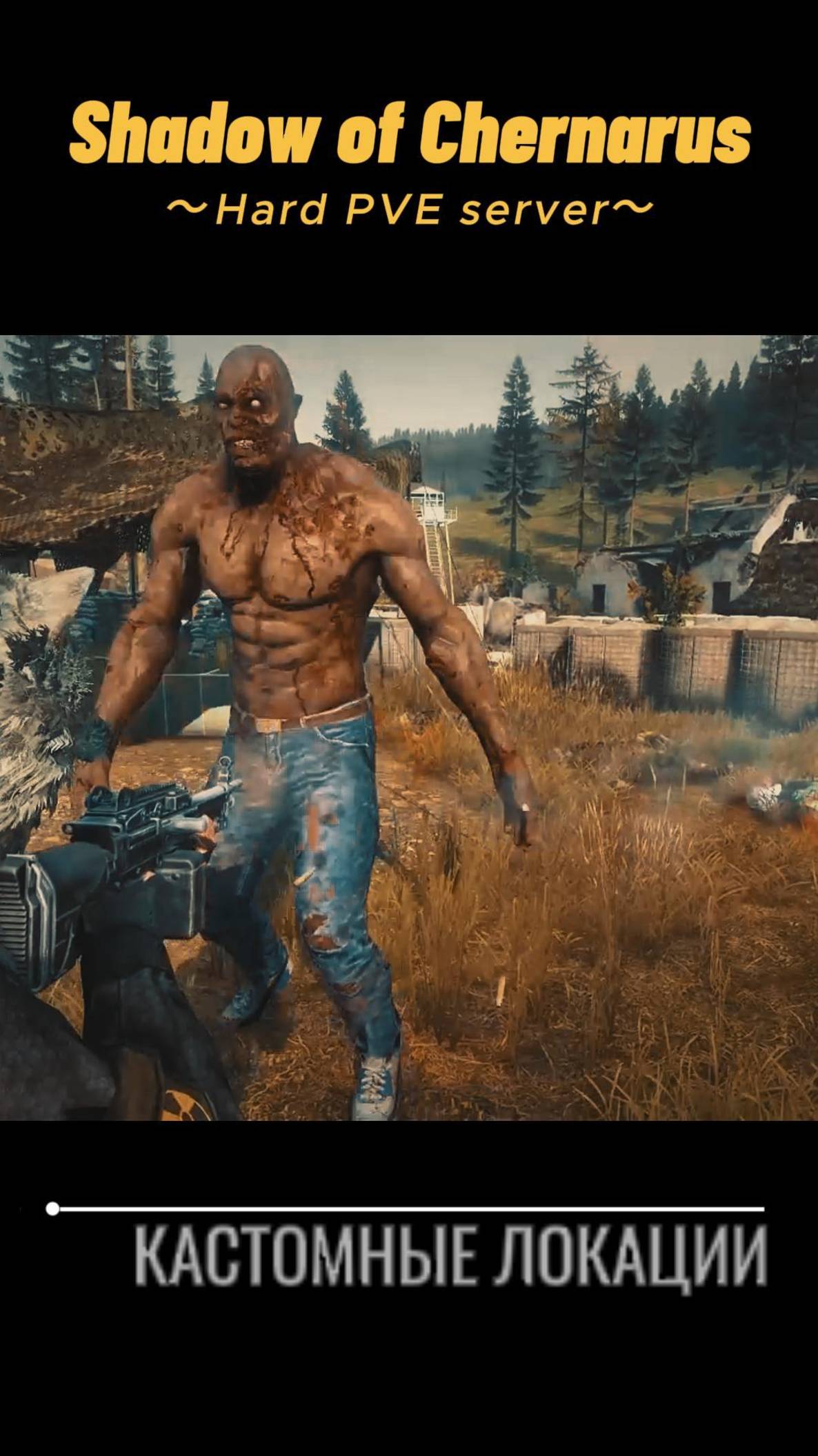 Shadow of Chernarus СЕРВЕР ХАРД ПВЕ