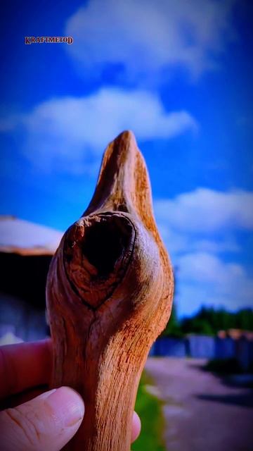 Коряга с Карелии KRAFT METOD shorts