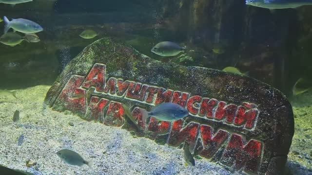 Аквариум_в_Алуште