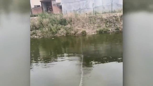 50 НЕВЕРОЯТНЫХ СЛУЧАЕВ НА РЫБАЛКЕ, СНЯТЫХ НА КАМЕРУ