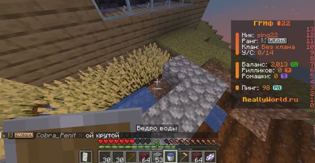 Как я за кадром пшеницу добывал