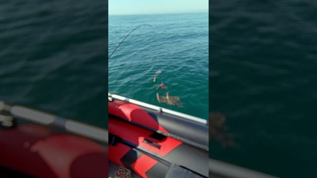 Сахалин Очередной выезд за камбалой с гостями 19.06.25