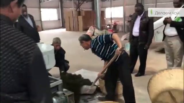 Блок роллеров для скручивания чайного листа (чая, Иван-чая)