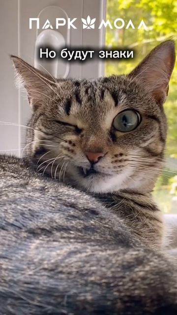 Когда я сделаю ремонт я никому не скажу, но будут знаки 😂