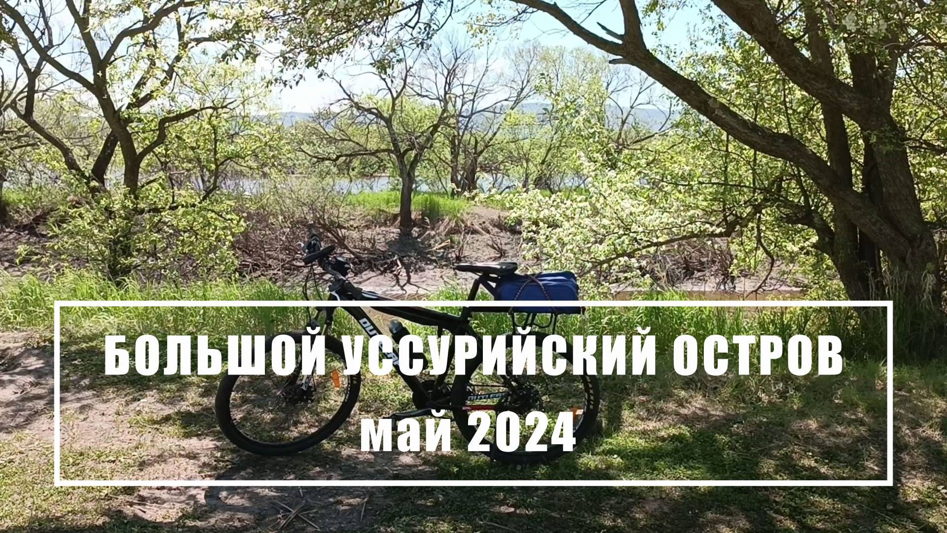Май на Большом Уссурийском острове