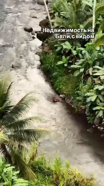 НЕДВИЖИМОСТЬ "С ВИДОМ" НА ОСТРОВЕ БАЛИ I ИНВЕСТИЦИИ НА БАЛИ I ЗАСТРОЙЩИКИ 🌴 #профессиональныйюмор😁