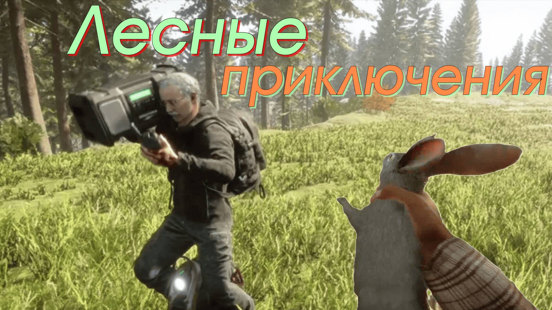 ЛЕСНЫЕ ПРИКЛЮЧЕНИЯ ! Sons Of The Forest