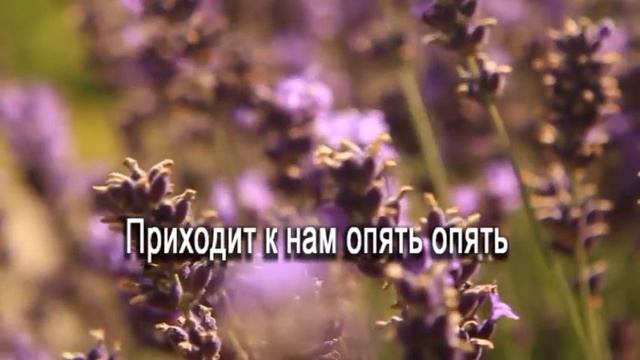 Цветы. Христианское караоке