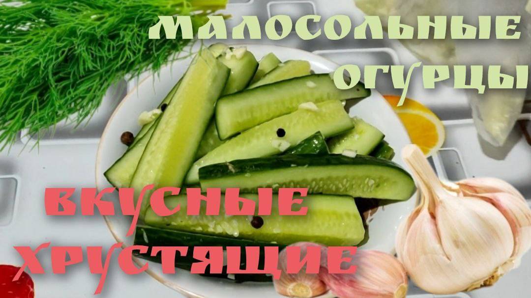 Малосольные огурцы - самый простой рецепт. Быстрые малосольные огурцы с чесноком