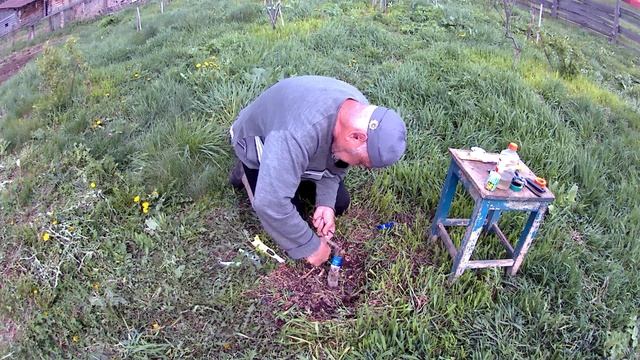 Самая удачная прививка за кору в апреле