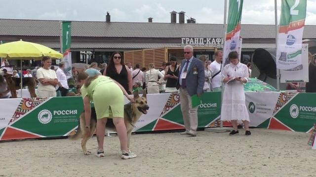 Эндр Стремительный