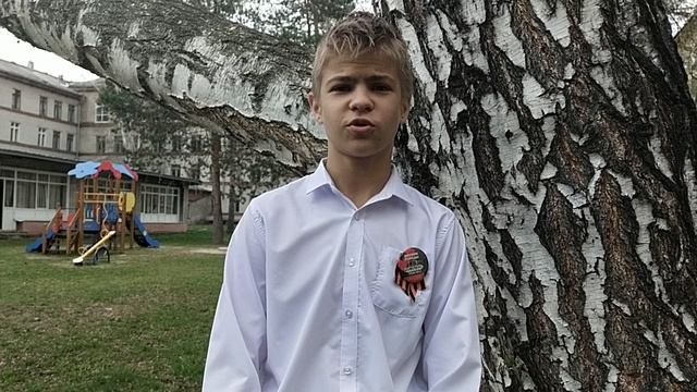 19.	Биккинин Дмитрий - "Белая берёза"