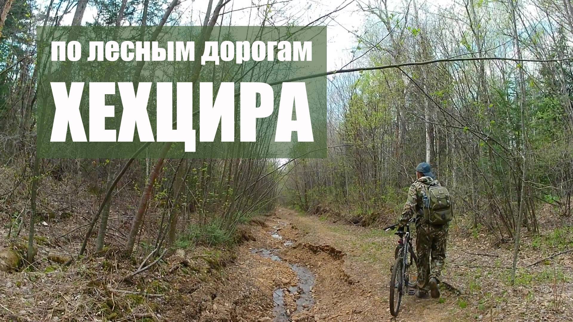 По лесным дорогам Хехцира