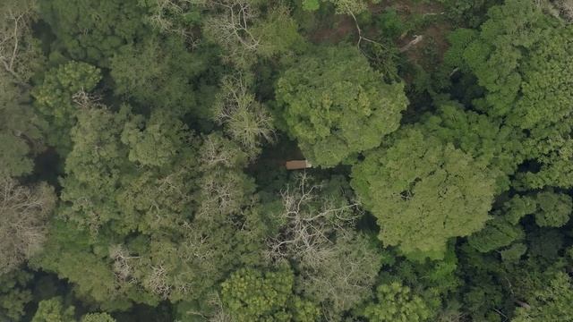 14. KENYA Cinematic Vlog _ Safari, Hotel Shoot