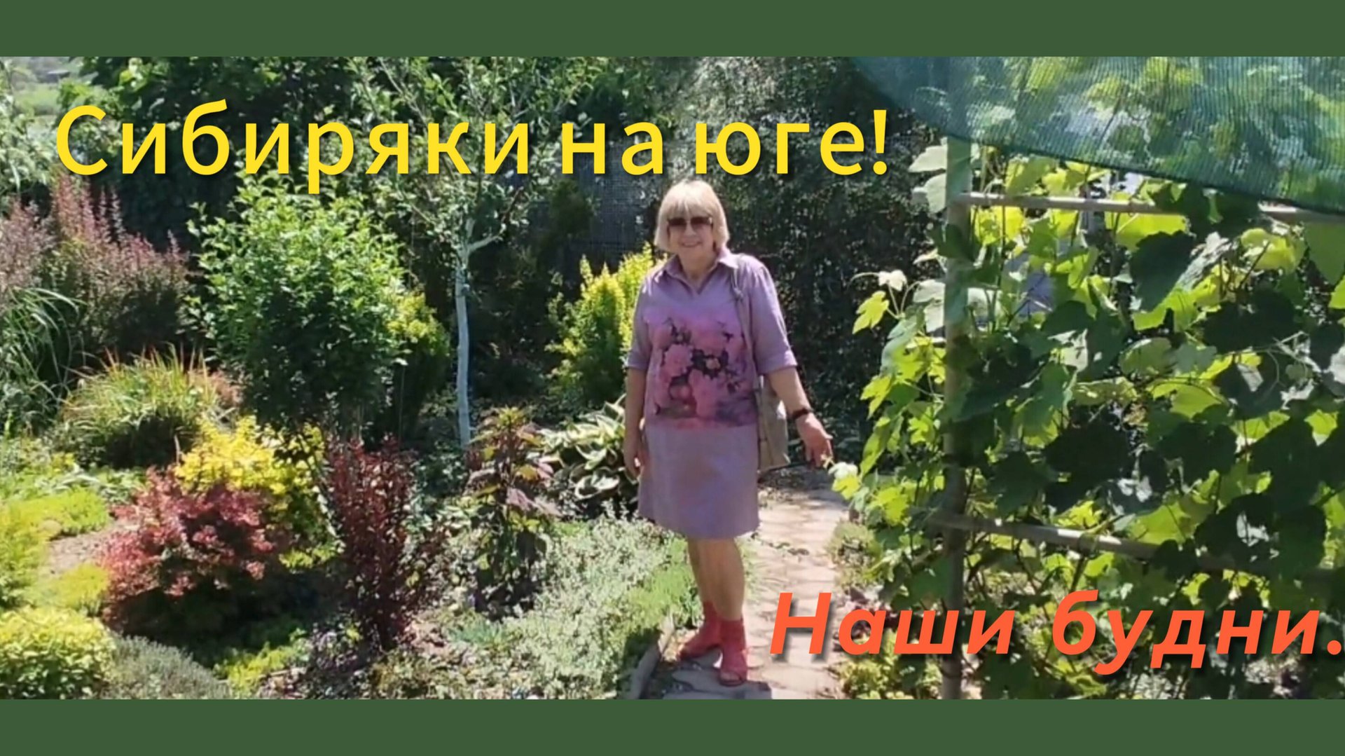 Покупки.