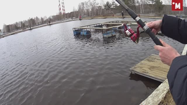 Рыбалка зимой на летнюю удочку. Форель 4 кг