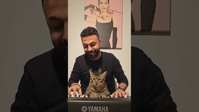 музыка любви ❤️