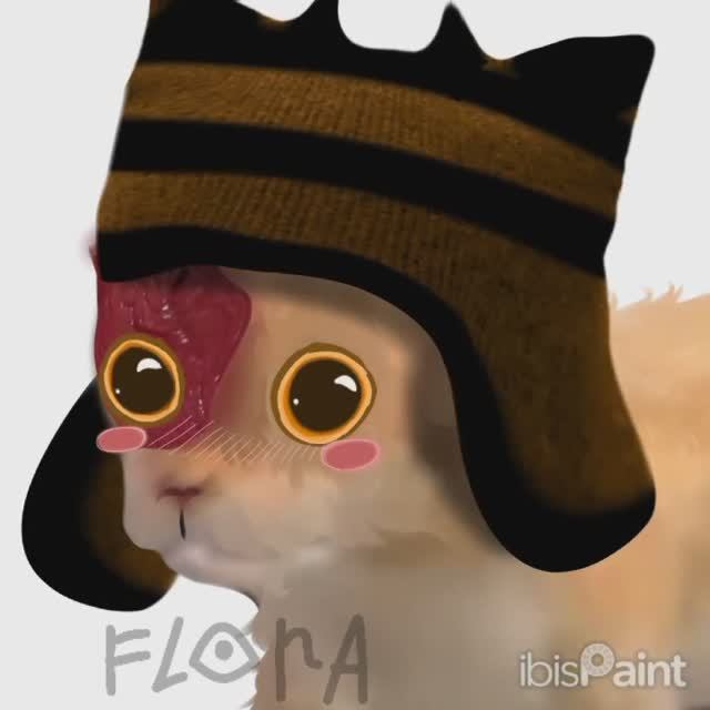 недоделанная кет сим обработка на Хэллоуин 2024☀️