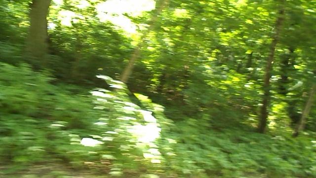 DSCN8066Железноводск июнь 2025 Аллея любви ,обзорная вокруг горы Железной.