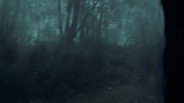 2. I travelled to India...again