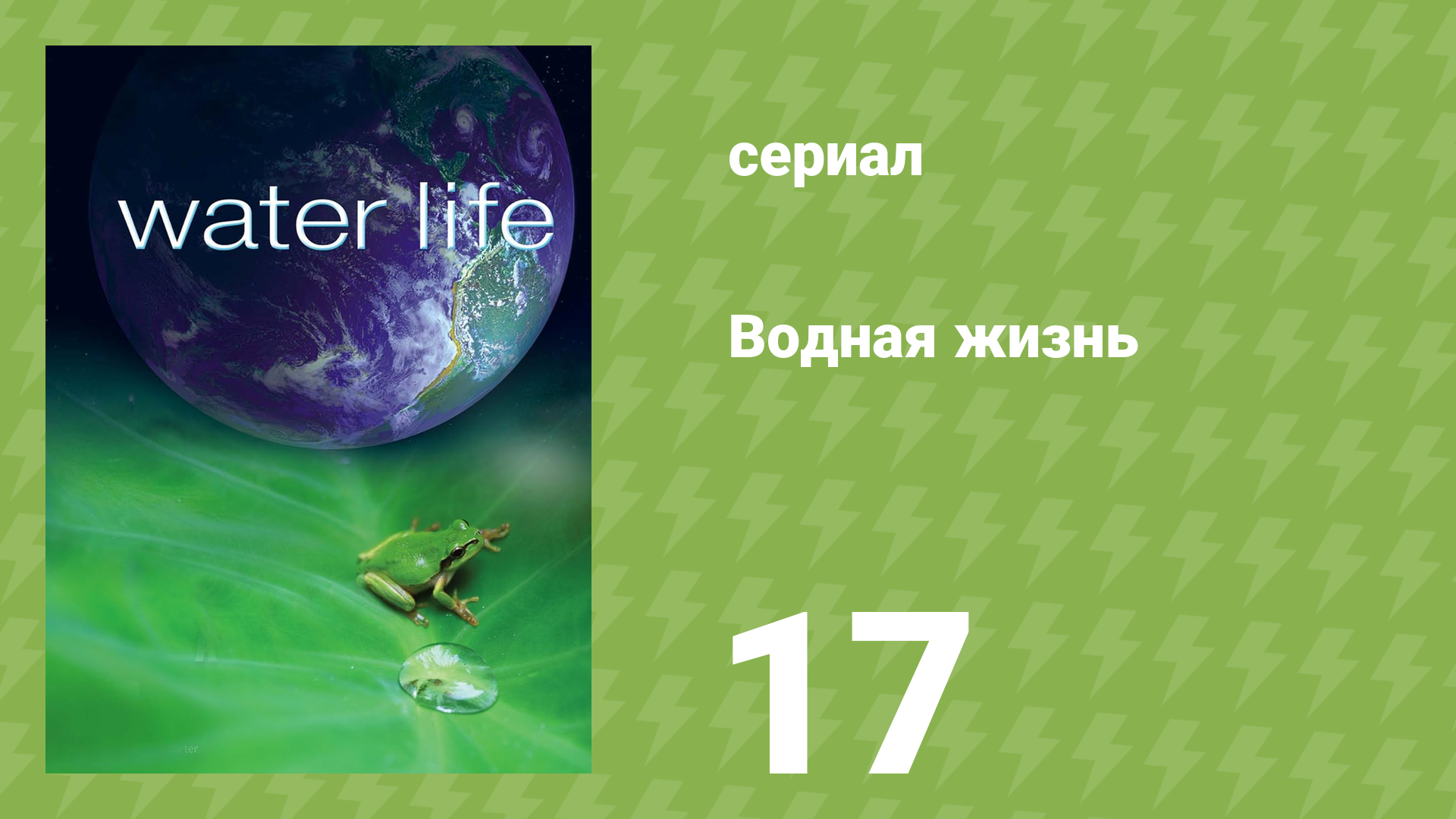 Водная жизнь 17 серия «Граница моря» (документальный сериал, 2009)