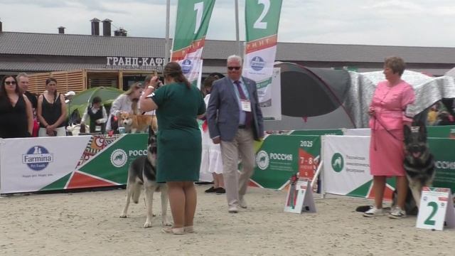 Милый Страж Диксон