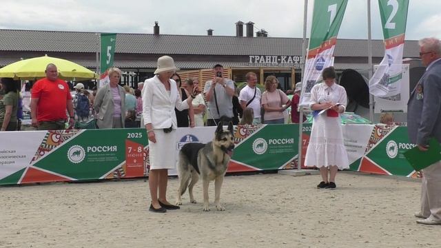 Русский Амулет Велибор для Барвиттера