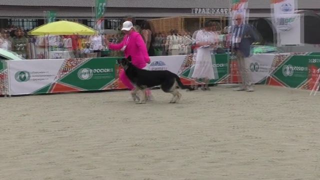 Жакар из Невского Десанта