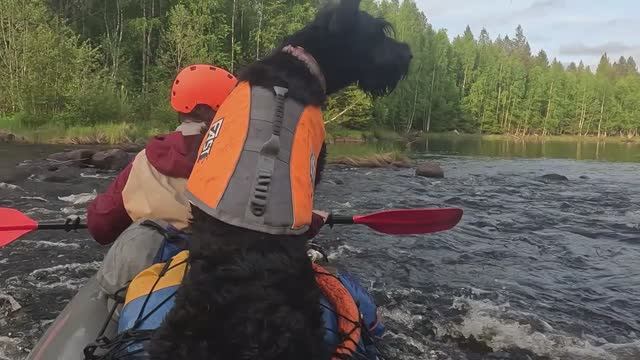 Карелия. Беломорская Шуя. Старт. Шиверы.