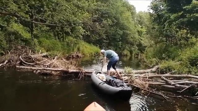 Неожиданный сюрприз от бобра. А говорил не хочу купаться.