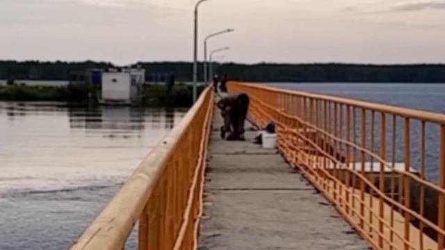 Рефтинское , с живцом на судака .