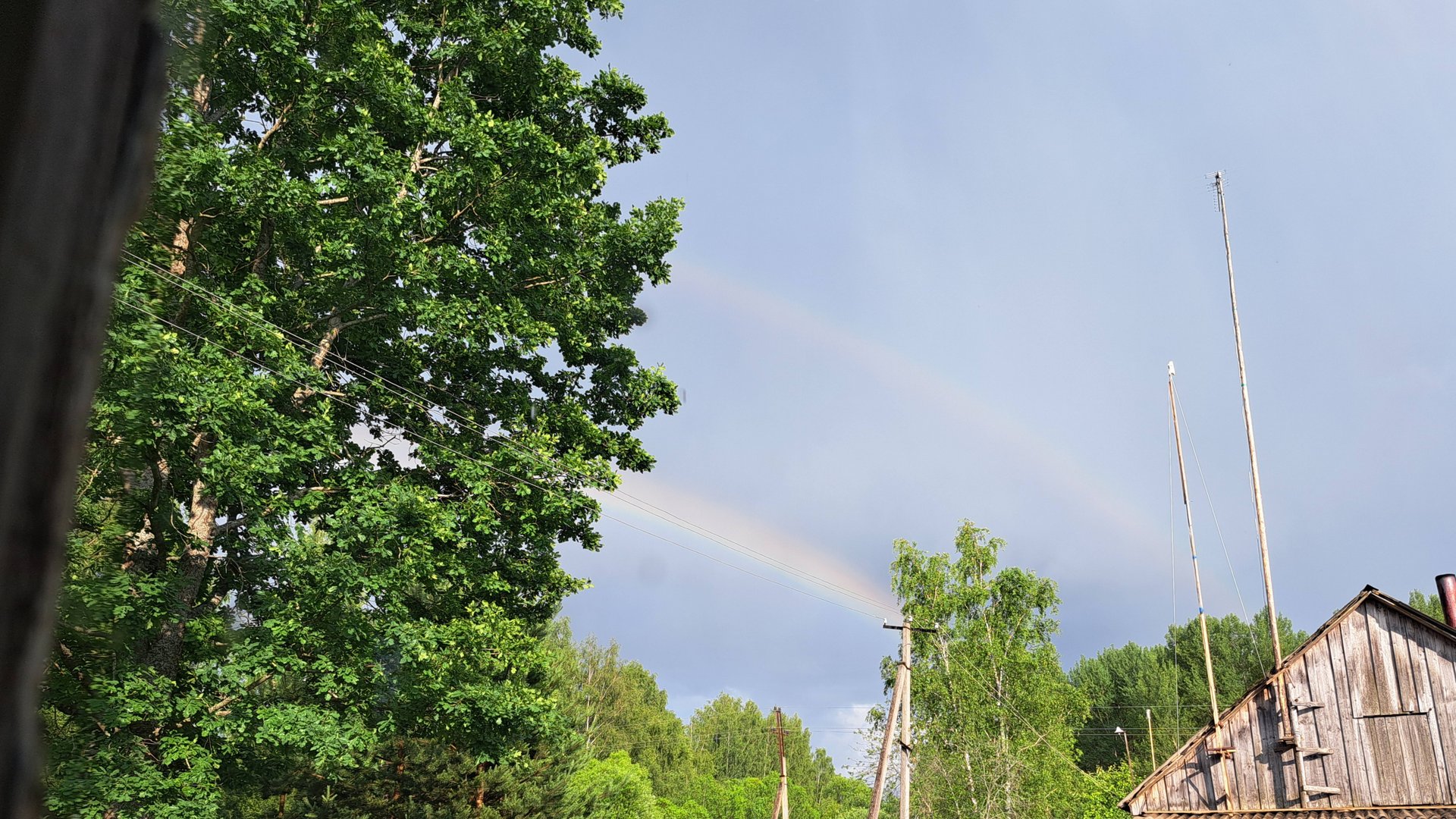 18-19.06.25 г. Разруха в вашей голове! Каждый живёт как хочет...