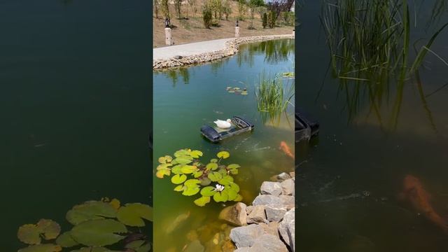 Река Героон🌊