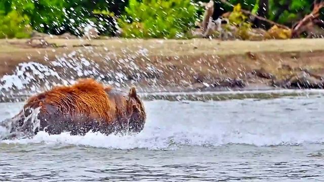 С. Рахманинов. Вокализ. Природа России.