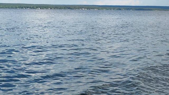 Шашлык на реке Волге с собакой. Часть 1