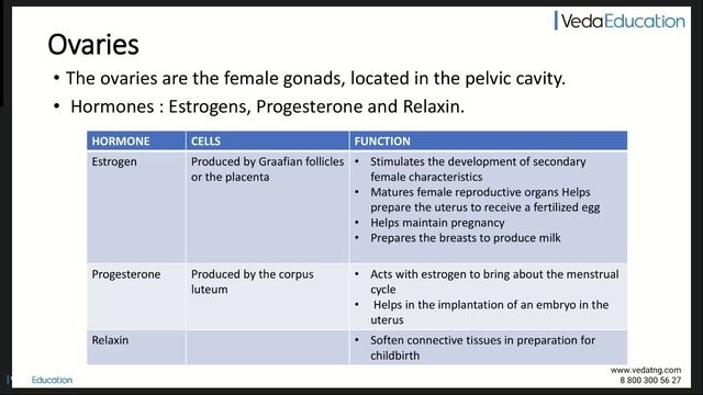 День йоги на VedaEducation: Йогатерапия в коррекции эндокринных заболеваний