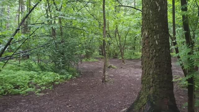 Куда уходит наша энергия?