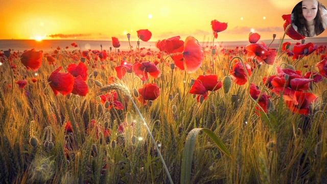 АСМР Слушать пение птиц, звуки классической музыки/ Медитация для расслабления, релаксации и сна