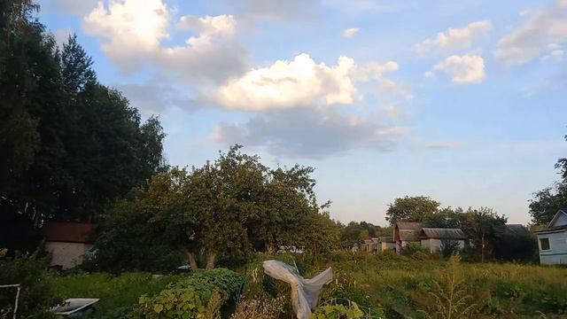 Назвала я её Розовый фламинго