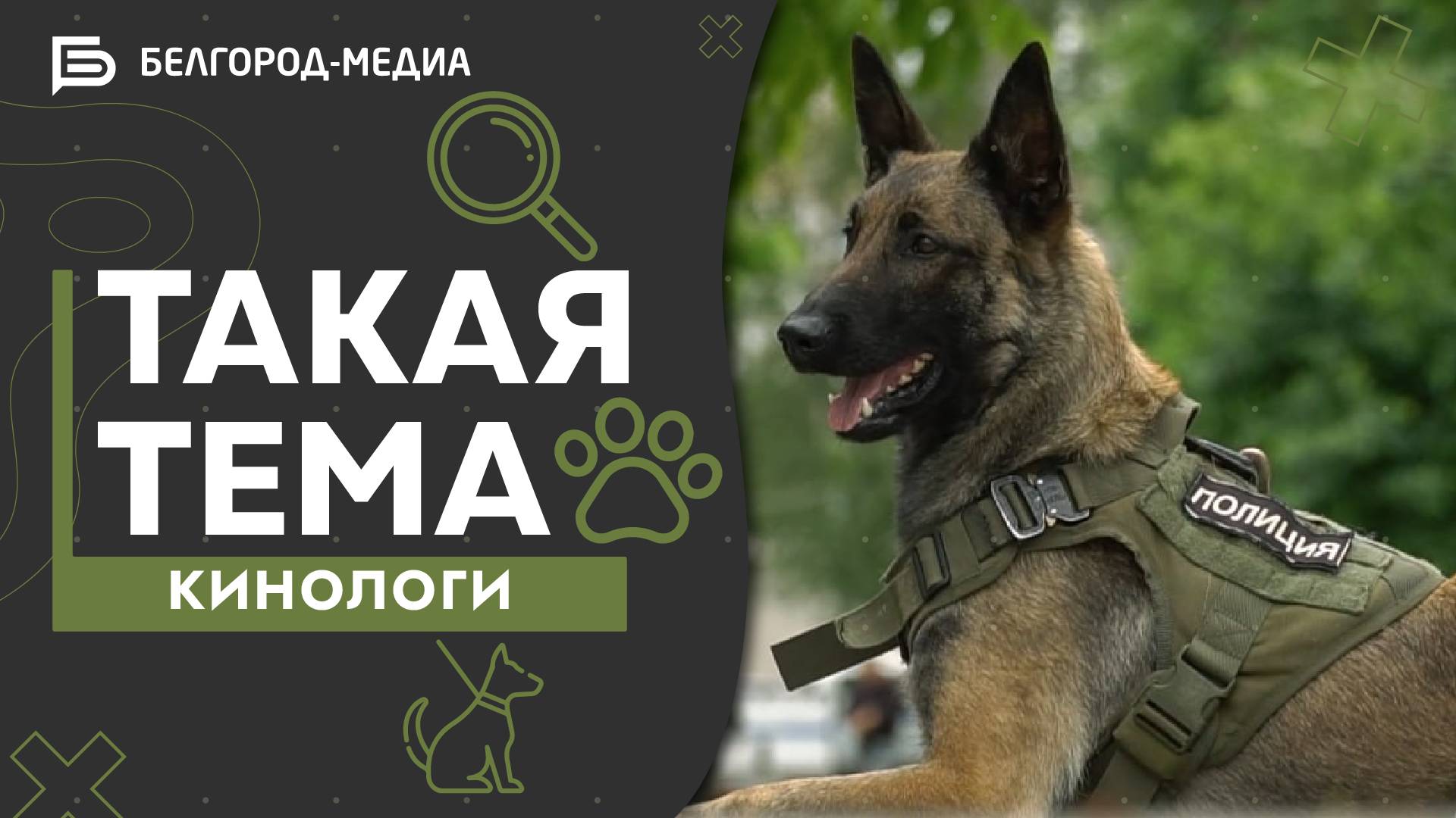 Кинологи I «Такая тема»