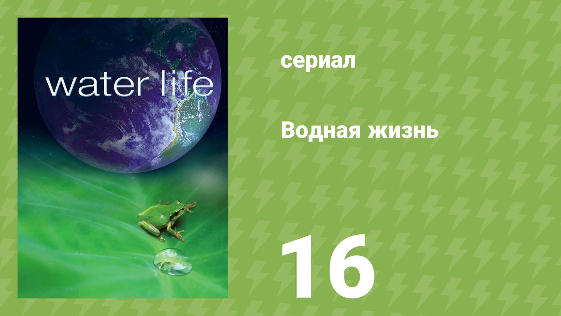 Водная жизнь 16 серия «Экстремальная вода» (документальный сериал, 2009)
