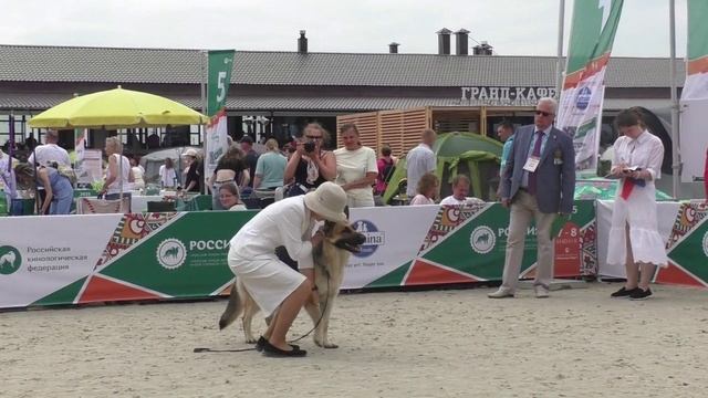 Верный Друг Ядвига