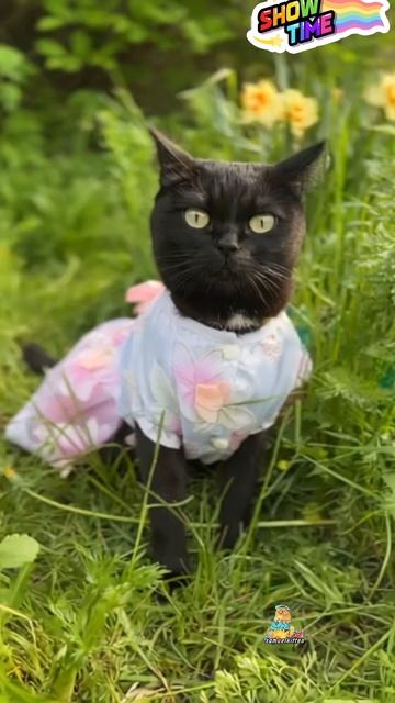 Понравились наши образы?😸