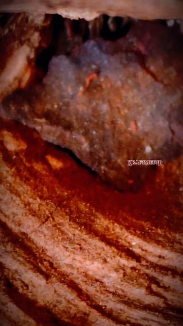 Коряга KRAFT METOD shorts