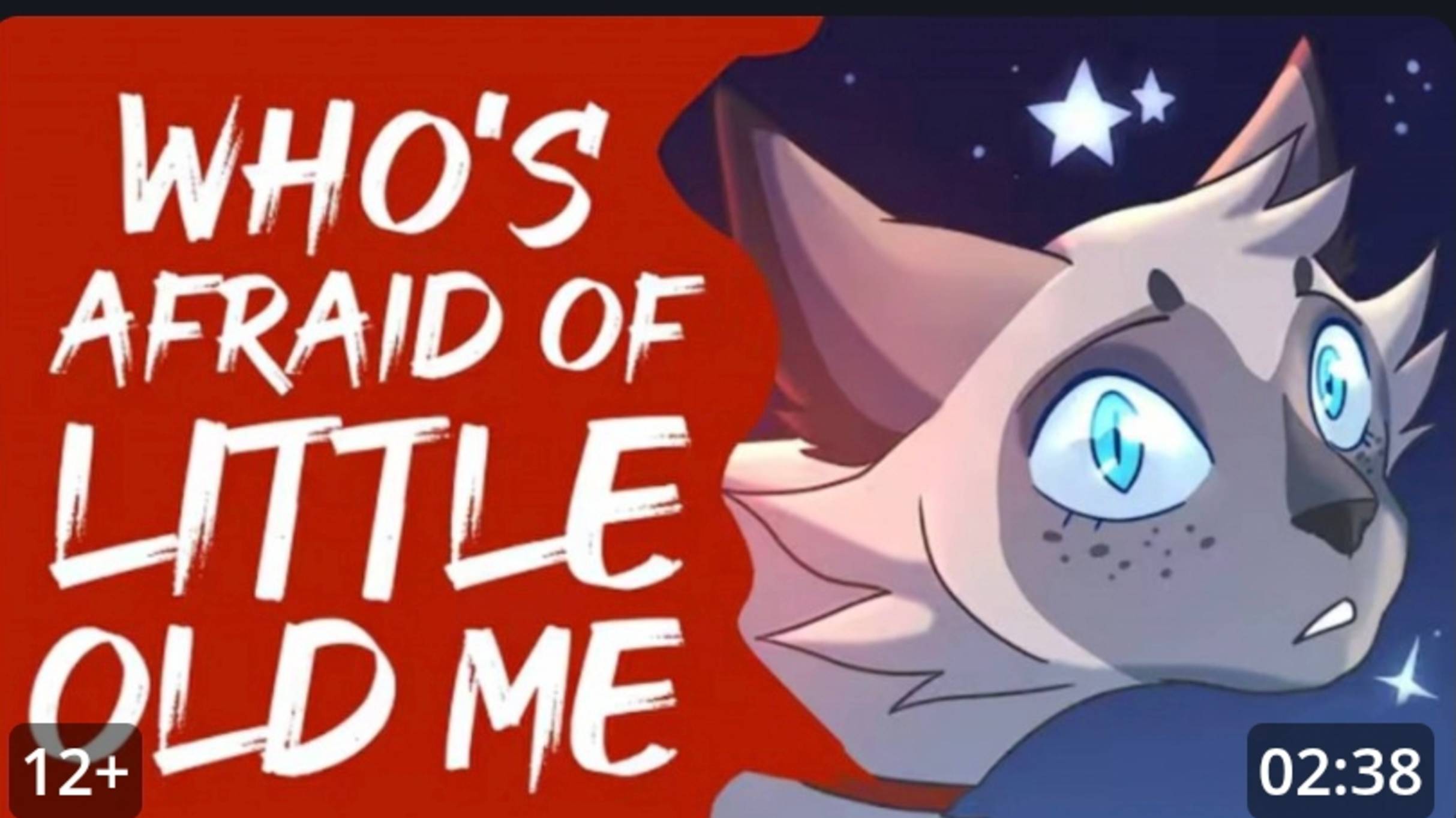 Коты воители МАП