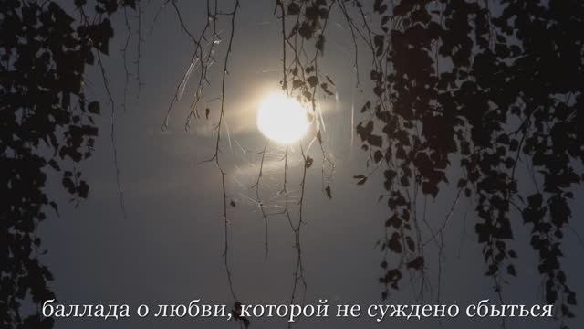 Ты почему не спишь, берёза