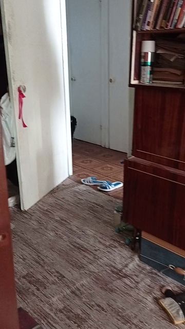 Игра в тарелку