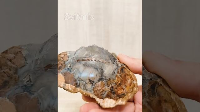 Svitaris. Окаменелое Дерево  (Дендролит) с фигуркой льва из латуни: Символ Вечности и Надежности.